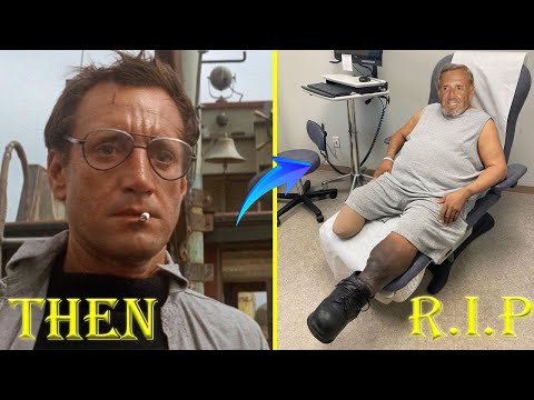 Jaws (1975): The Cast Then and Now – What’s Their Story in 2024?