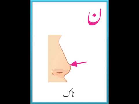 Urdu Noon