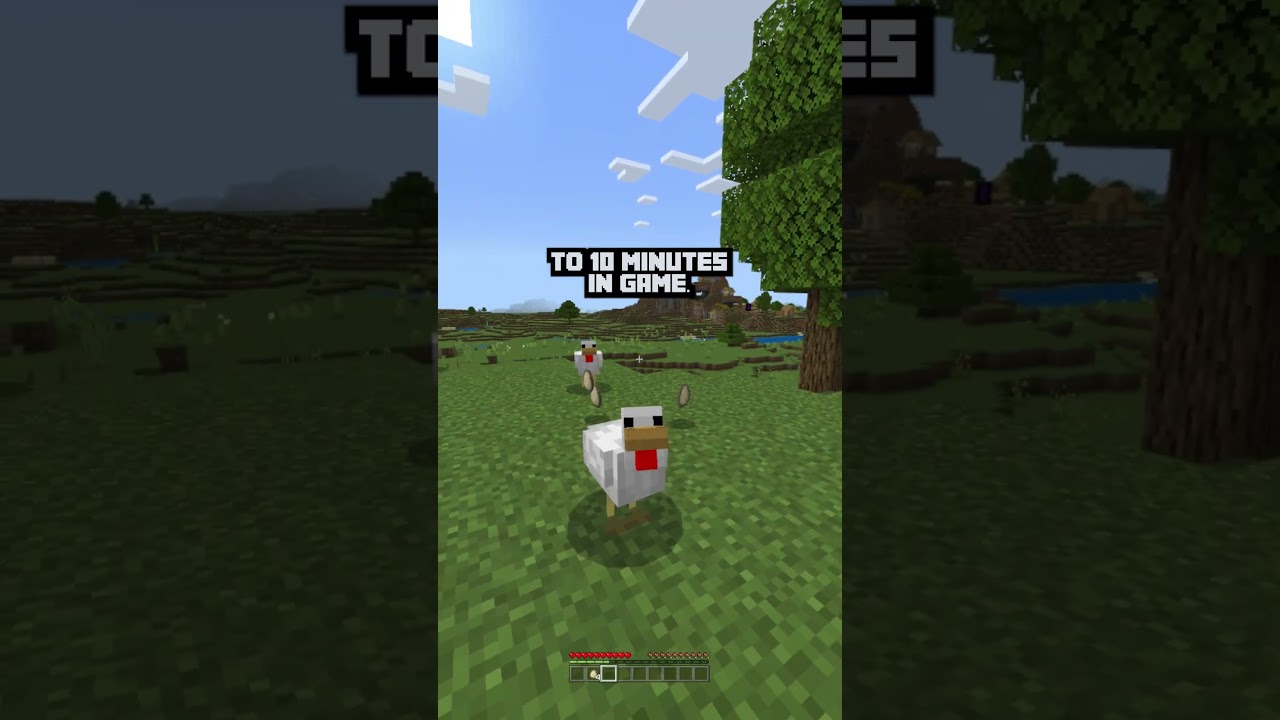 🐔Minecraft Chicken Egg Farming🥚