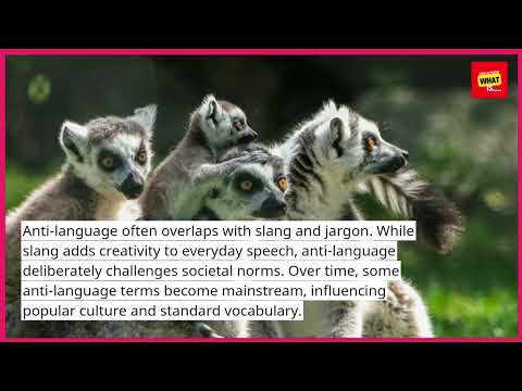 What is the role of anti language in communication