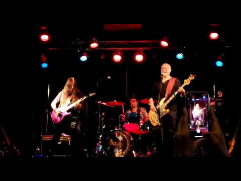 MONKEY BARS by Canadian Rock Royalty, Coney Hatch performance by Steal Kitty
