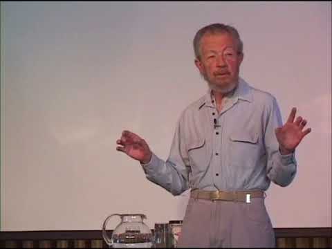 Dr. David R. Hawkins: Everything is Perfect