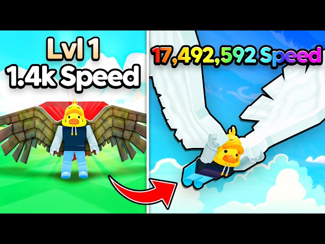 Flying Wings Race Simulator codes (October 2025)