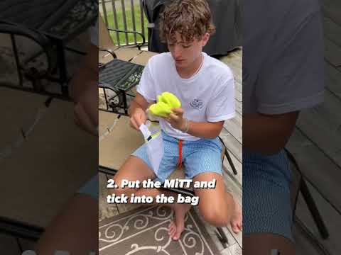 TiCK MiTT in Action