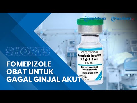 Disebut Kemenkes Akan Dijadikan Obat Gagal Ginjal Akut, Apa Itu Fomepizol? Berikut Penjelasannya