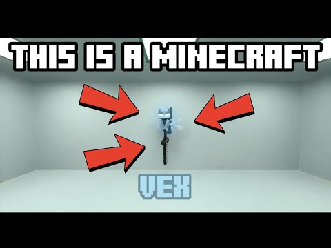 THIS IS A MINECRAFT VEX