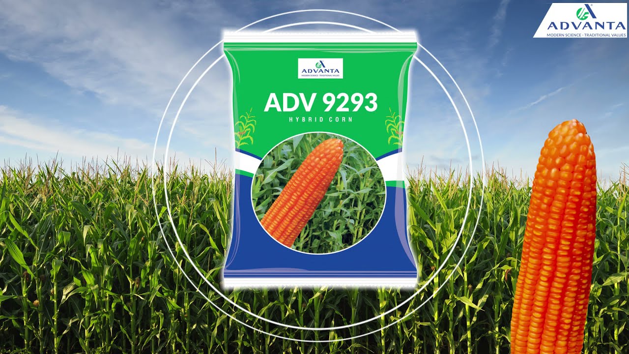 ADV 9293 kannada