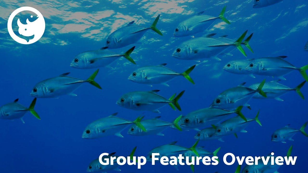 Groups Features Overview