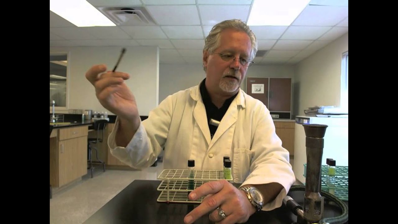 Simmons Citrate Medium.mp4