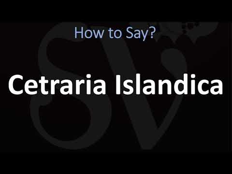 How to Pronounce Cetraria Islandica? (CORRECTLY)