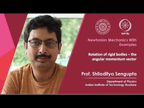 Lecture 41: Rotation of rigid bodies - the angular momentum vector