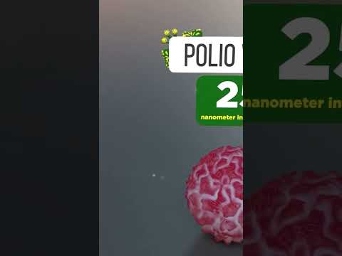 Polio Virus Mrrdical Technologist View #shorts