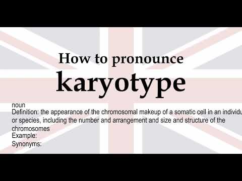 How to pronounce 'karyotype' + meaning