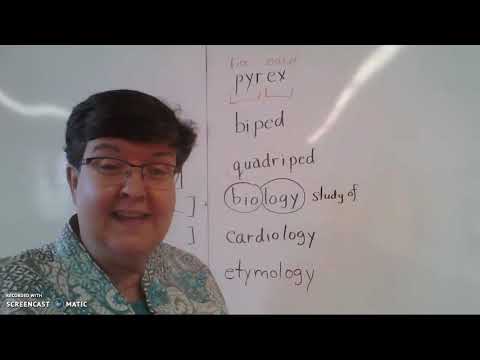 Etymology: analyzing words' origin