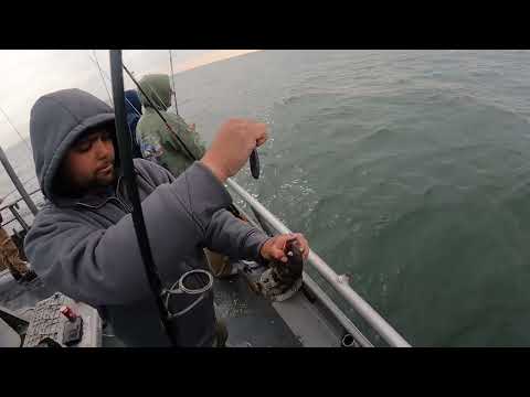 Dauntless Fishing 04 21 2024