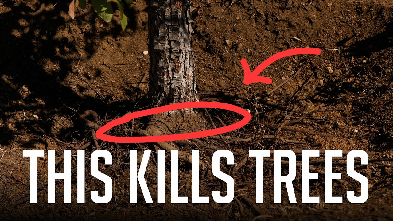 The Hidden Root Problem Killing Trees