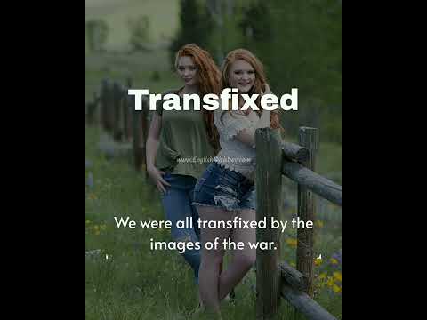 Transfixed Meaning & Example Sentence