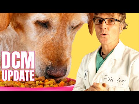 Dog Food and Heart Disease: DCM Update