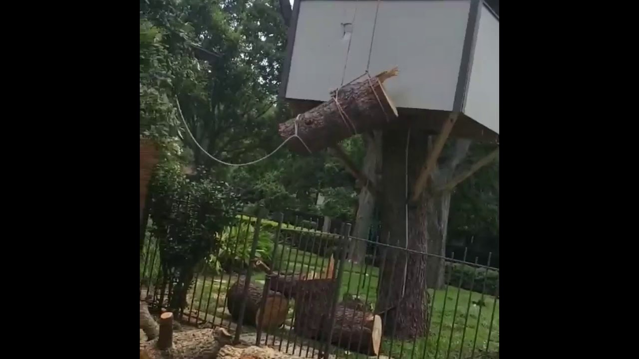 Robert's Tree Service