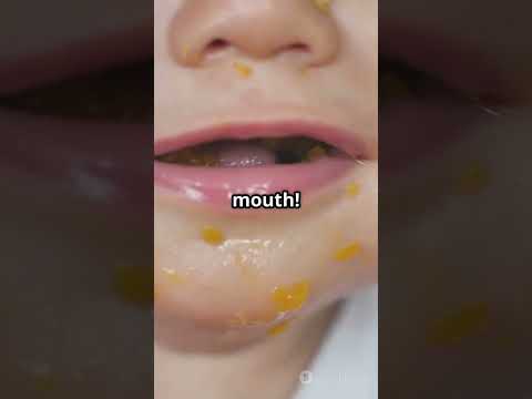 You Have More Bacteria Than Human Cells ðŸ¦
