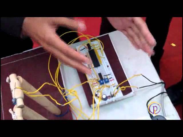 10 things that you should know about LED Zing bails