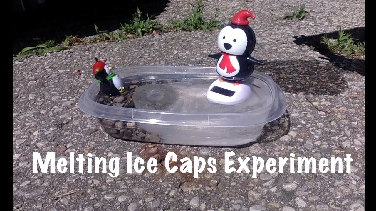 Melting Icecaps Experiment