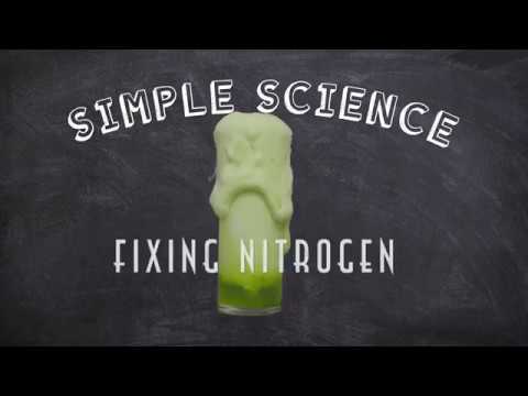 Simple Science: Fixing Nitrogen