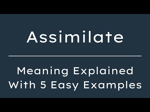 What does Assimilate mean? Assimilate Meaning in English With 5 Example Sentences