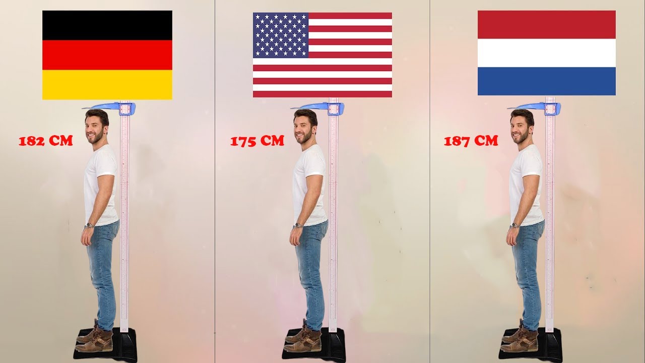 Average Human Height by Country 2024
