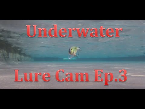 Different Kind of Fishing ( Ep. 3 Bandit 100 Blueguill )