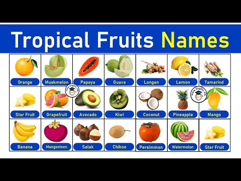 20 Common Tropical Fruits Name with Pictures