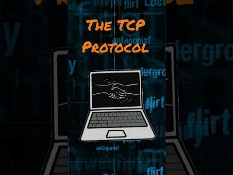 The TCP Protocol