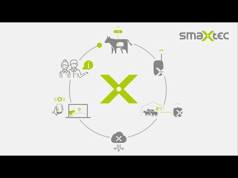 Verbeter de koegezondheid met smaXtec Nederland