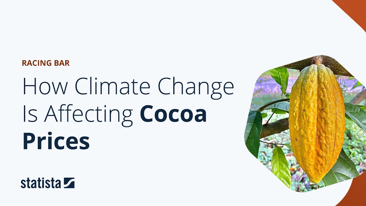 How Climate Change Is Affecting Cocoa Prices: Statista Racing Bar Animation