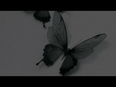 D-block - Darling lyrics edit