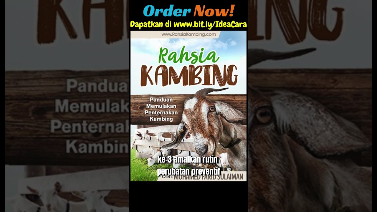 Tips Penjagaan Kambing: Panduan Praktikal untuk Penternak