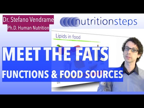 What Are Fats and Where Are They Found in Food?