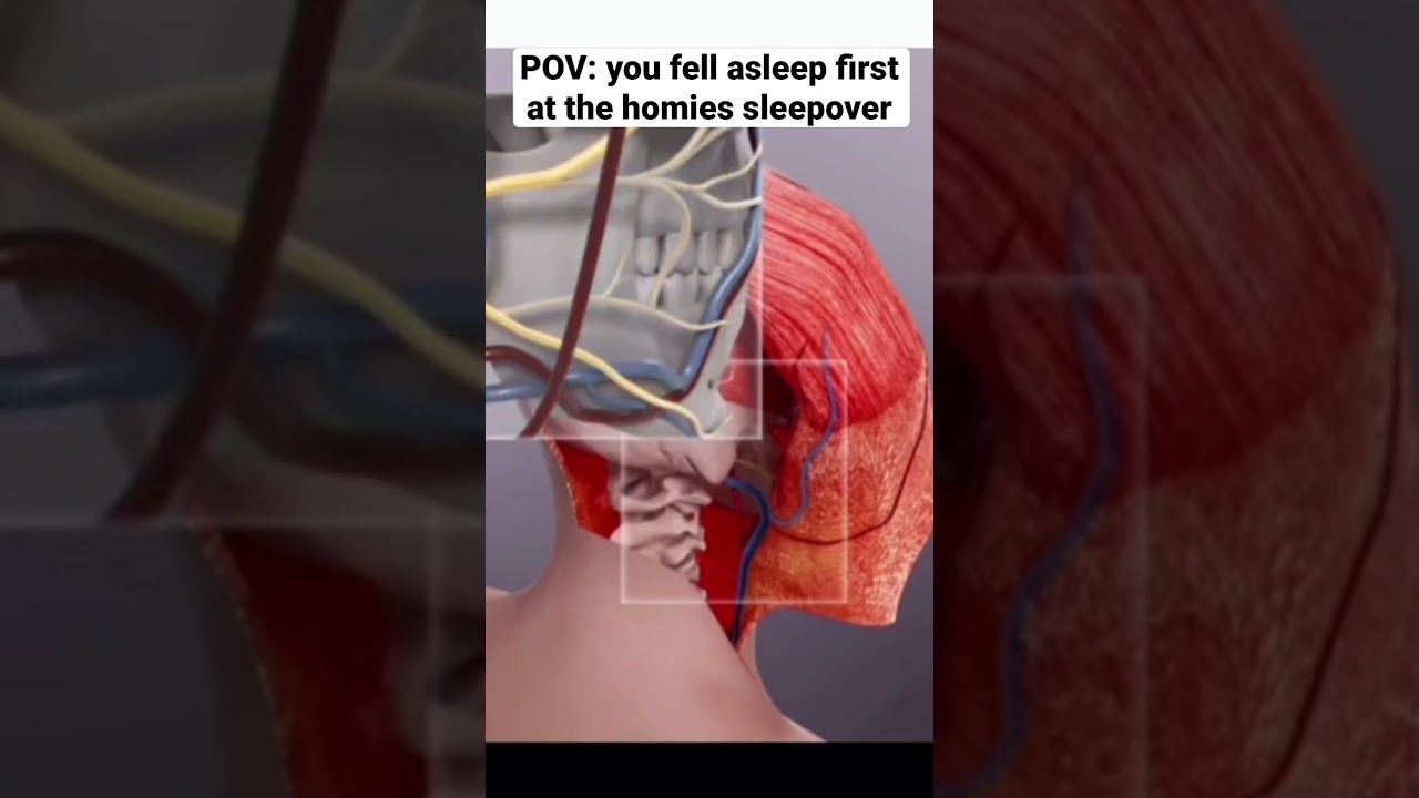 POV you fell asleep first at the homies sleepover #shorts #memes #sleepovers #justiceforoogway