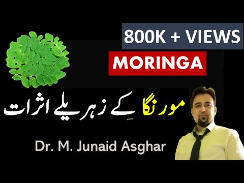 Moringa | Benefits | Safety