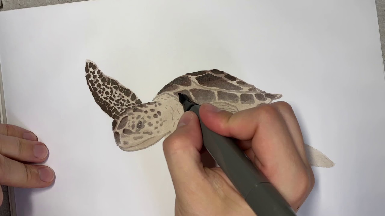 Sketch Marker Graphix – Bregli.com.mk