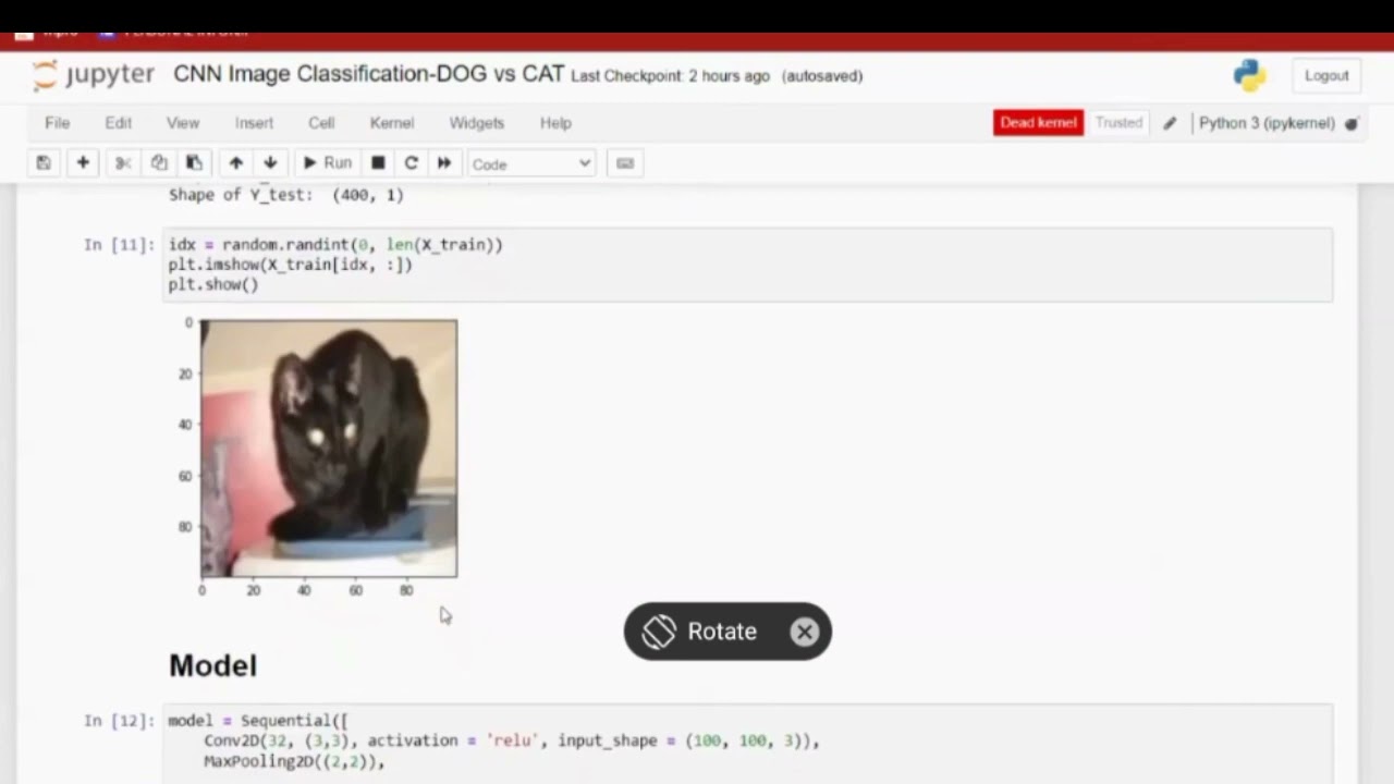 CNN Image Classification - Cat vs Dog