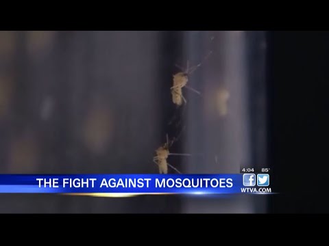Experts weigh in on best ways to keep mosquitoes out of your patio
