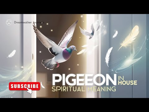 Spiritual Meaning of a Pigeon Coming Into Your House: Divine Messages Unveiled