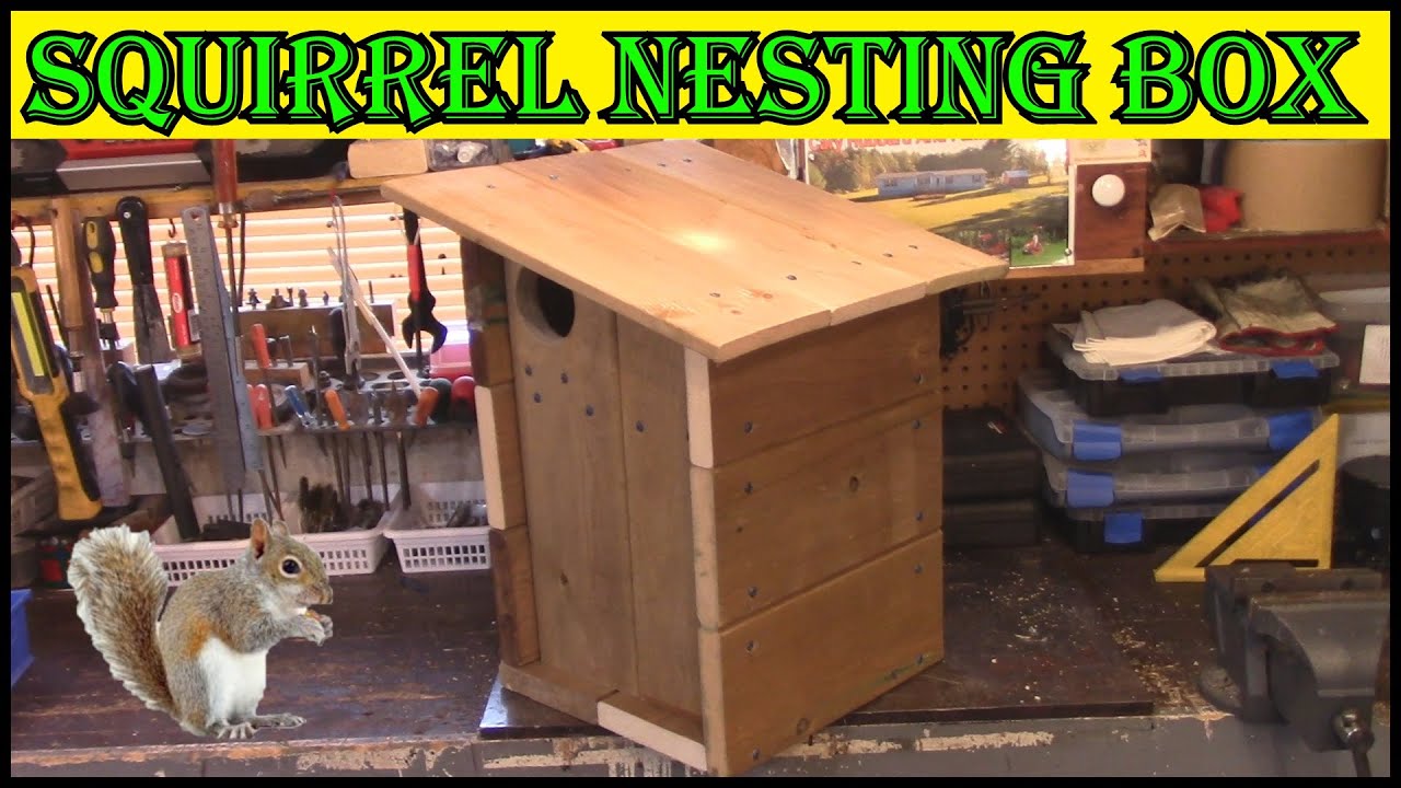 How To Build A Squirrel Nesting Box