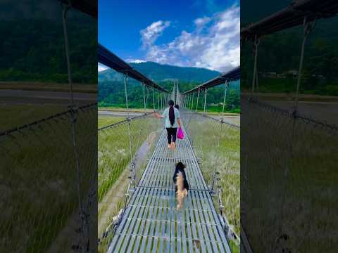 Brave Dog 🦾🐶 walking on suspension bridge 🙆🏻♀️