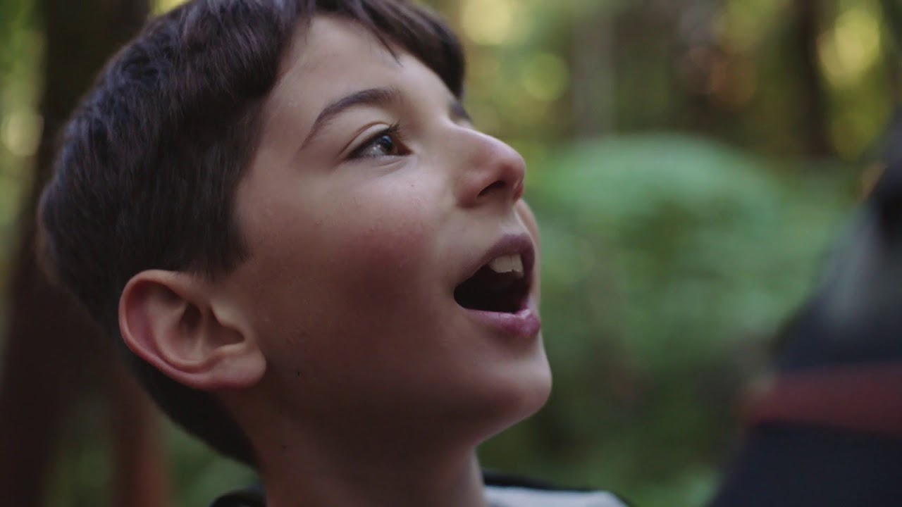 Explore Our Backyard in Commercial Projects – Adfilms, TV Commercial, TV Advertisments