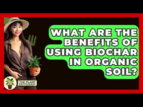 What Are The Benefits Of Using Biochar In Organic Soil? - The Plant Enthusiast