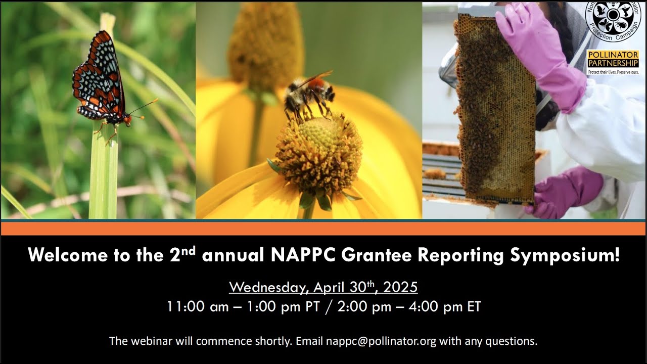 2025 Imperiled Bombus and Lepidoptera Grantee Reporting Symposium