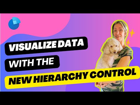 Power BI: New Hierarchy Control Guide