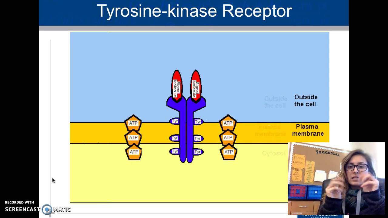 Cell Communication PPT
